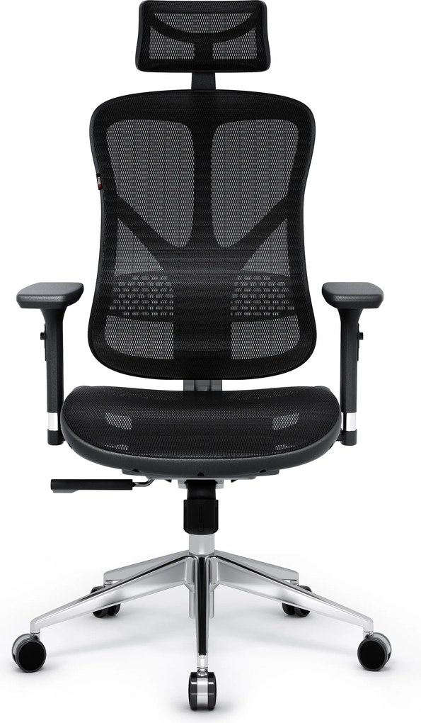 Ergonomická kancelářská židle ze síťoviny černá: Diablo V-Basic