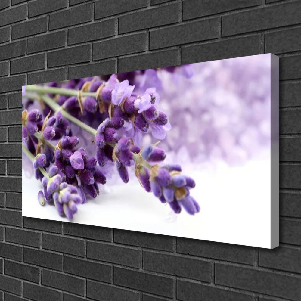 Obraz na plátně Květiny Příroda Rostlina 140x70 cm