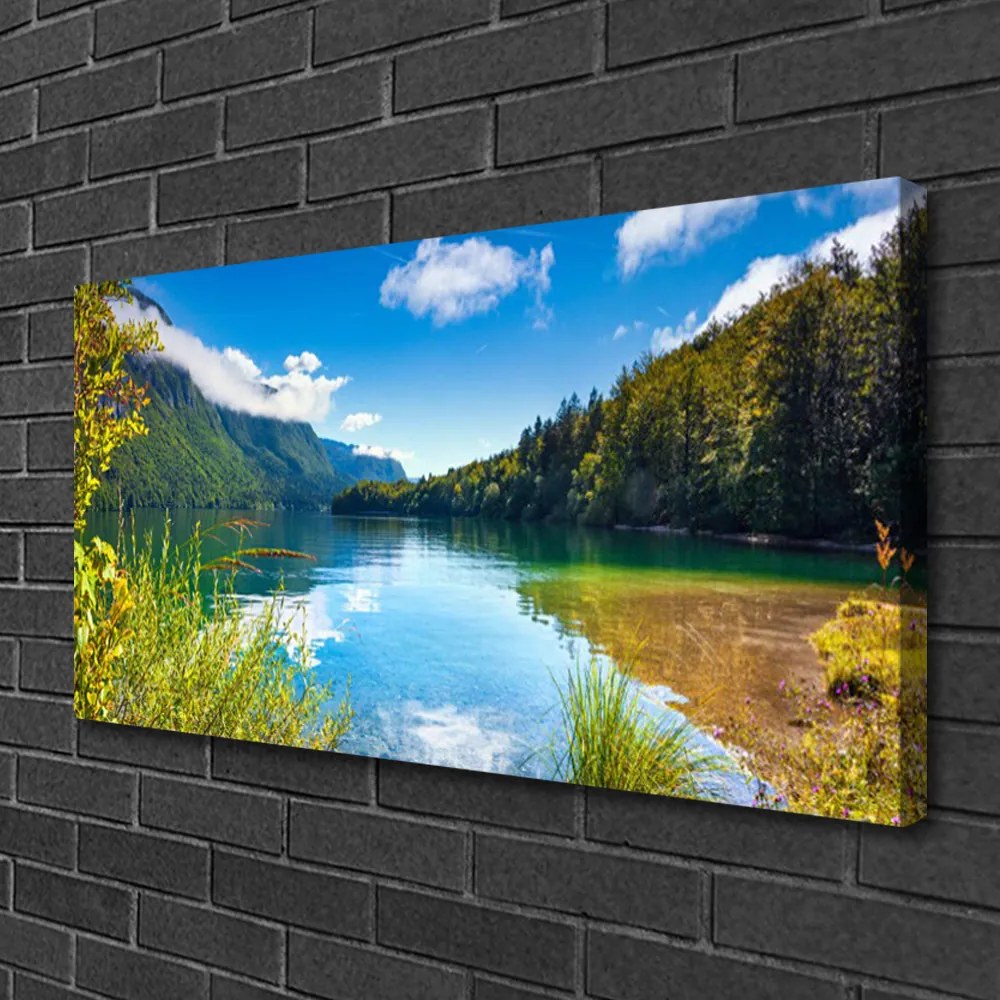 Obraz na plátně Hory Les Příroda Jezero 100x50 cm