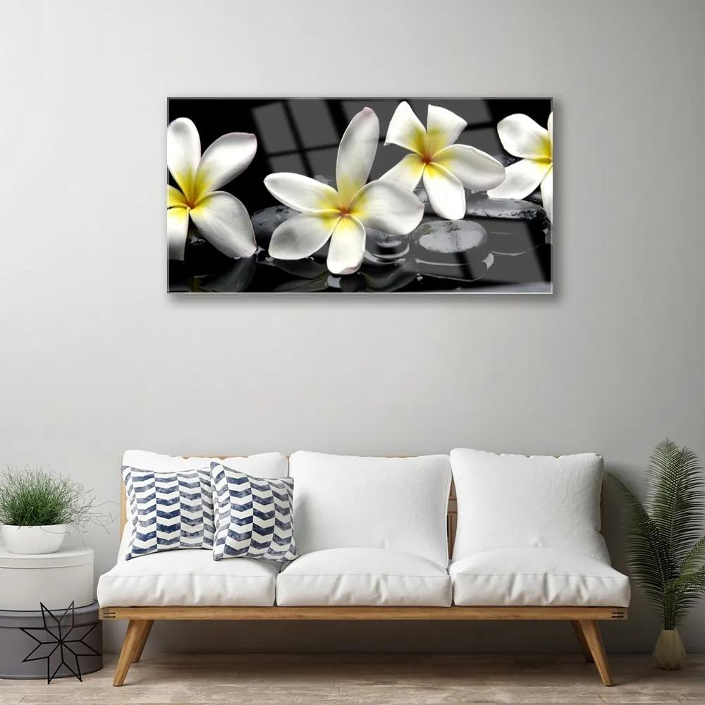 Obraz na skle Kameny Květiny Lázně 140x70 cm