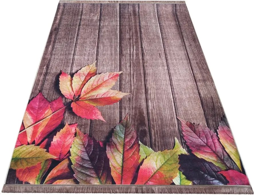 DY Hnědý koberec s motivem listů Horeca-New 106 Rozměr: 160x220 cm