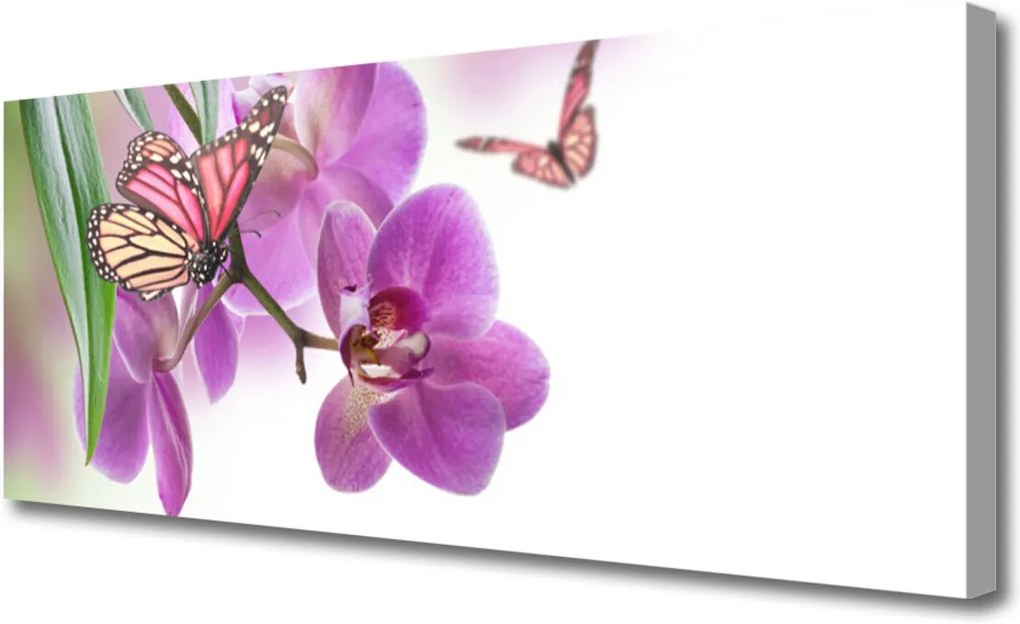 Obraz Canvas Motýli Květiny Příroda