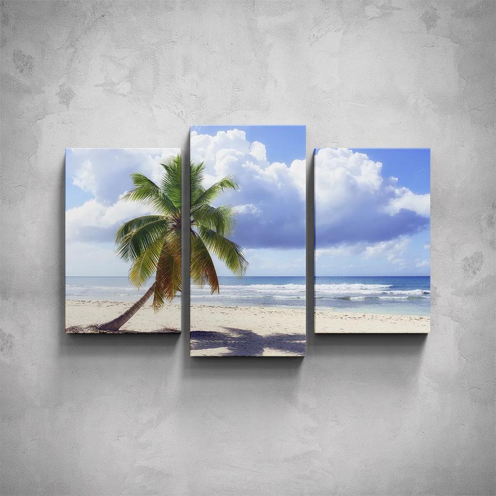 3-dílný obraz - Palma na pláži - PopyDesign