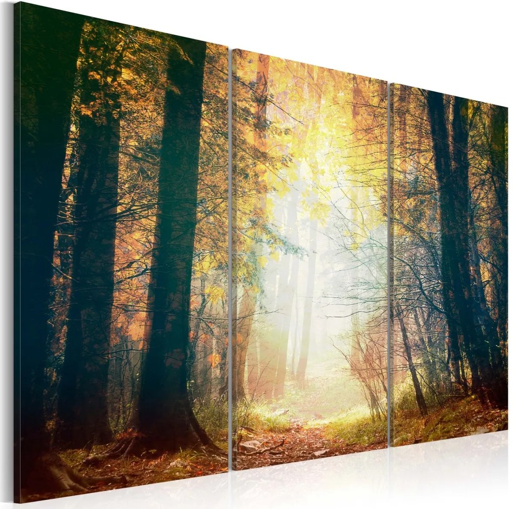 Obraz - Beauty of autumn - triptych - 120x80