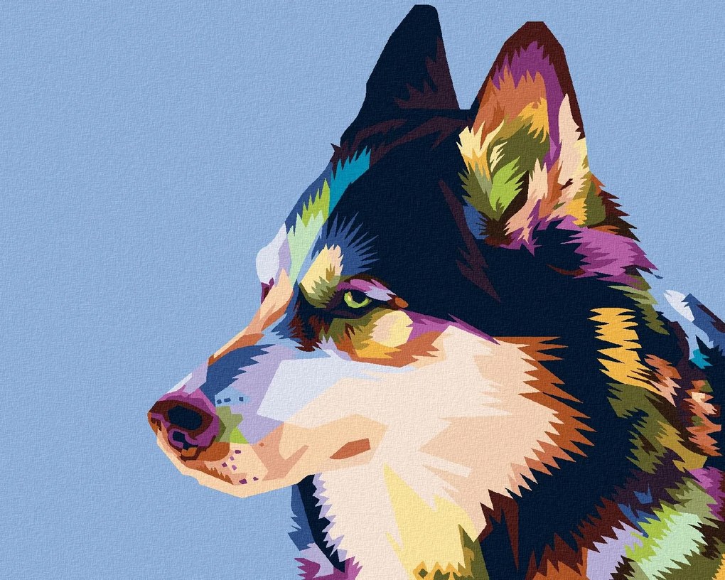 zuty malování podle čísel - barevný husky, 40x50 cm, bez rámu a bez vypnutí plátna