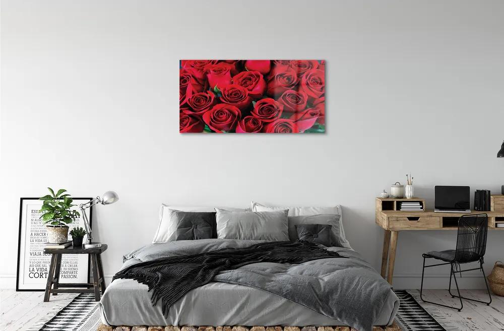 Obraz na skle Růže 120x60 cm