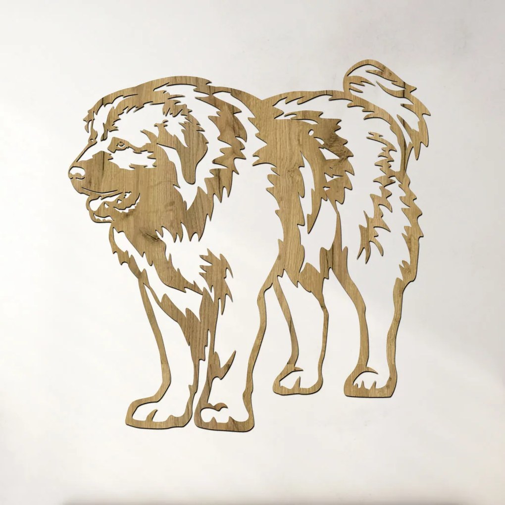 dřevo života Dřevěný obraz Kavkazského pasteveckého psa Zvolte rozměr (cm): 58x60, Zvolte barvu dekoru: Ořech