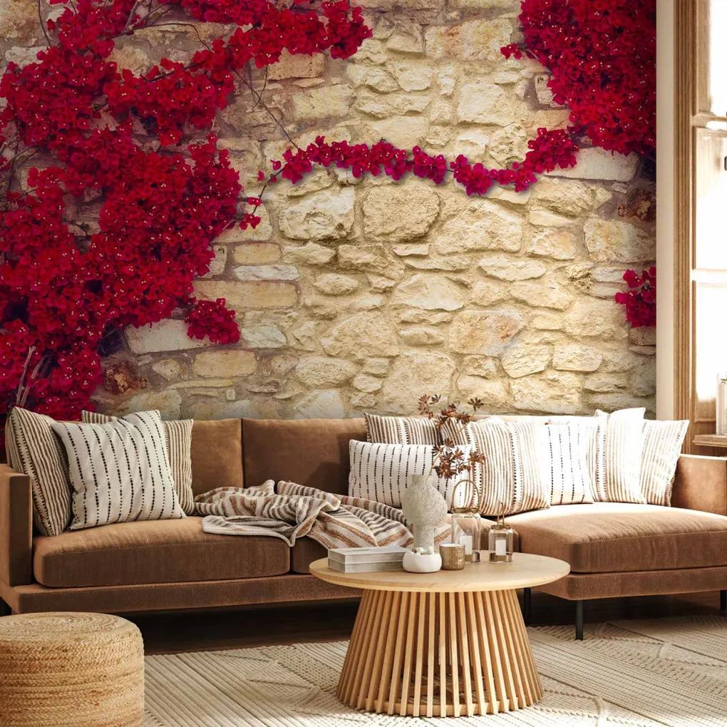 Fototapeta Kamenná zeď - pozadí s červeným břečťanem a tyrkysovými květináči