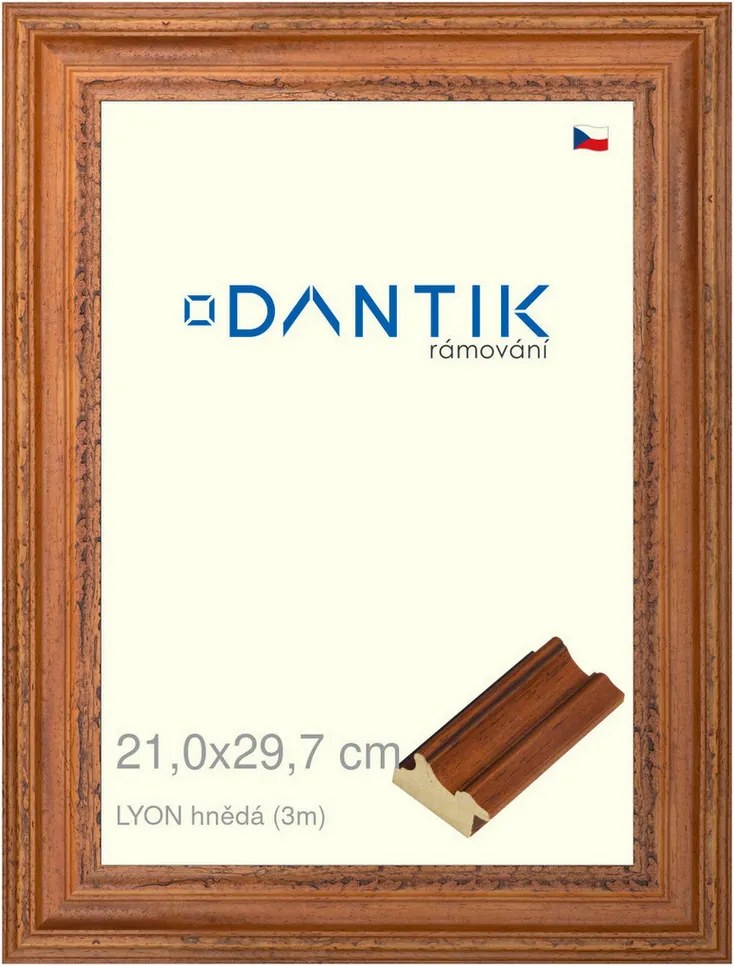 DANTIK rámeček 21x29,7 | LYON hnědá (Sklo Čiré)