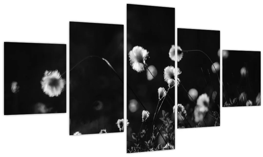Obraz - Louka s cottongrass N⁰1 (125x70 cm)