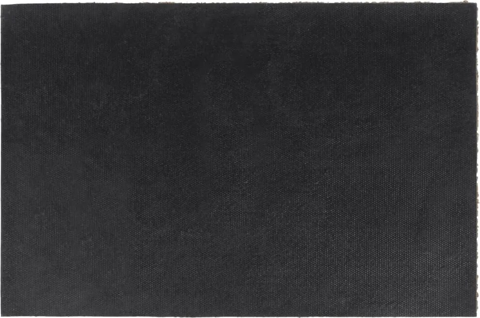 Rohožka před dveře přírodní 40 x 60 cm kokosové vlákno 155608
