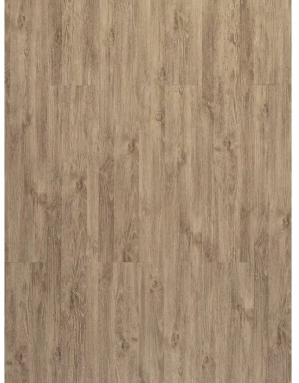 Tajima, Vinylová podlaha lepená Tajima Classic Ambiente 6624 šedobéžová, 1219,2 x 177,8 mm