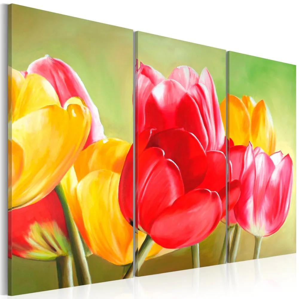 Obraz na plátně Bimago - Tulips bloom again... 60x40 cm