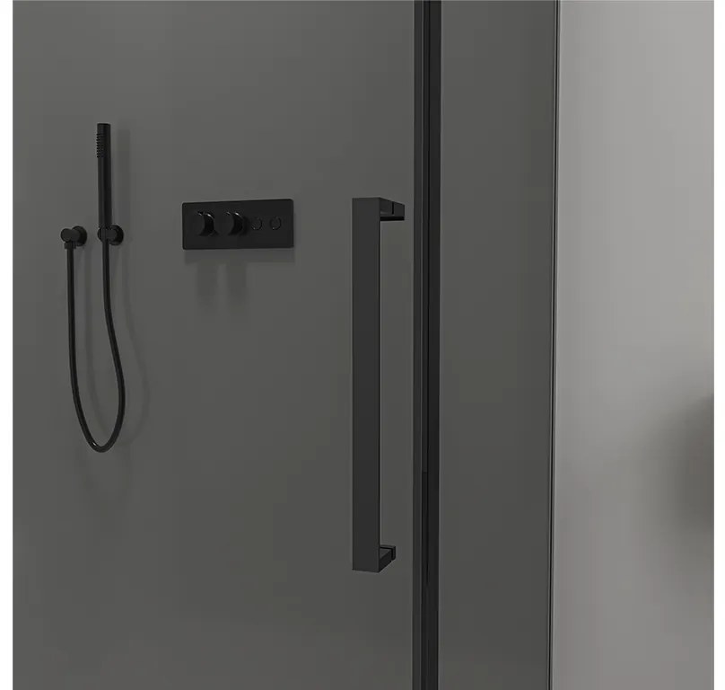CERANO - Sprchové posuvné dveře Lantono L/P - 8 mm - černá matná, grafitové sklo - 100x195 cm, CER-CER-8050BD7235
