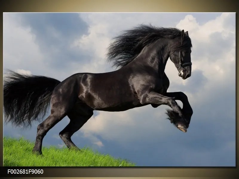 Obraz na plátně Černý kůň ve skoku, Obdélník 90x60cm 1520 Kč