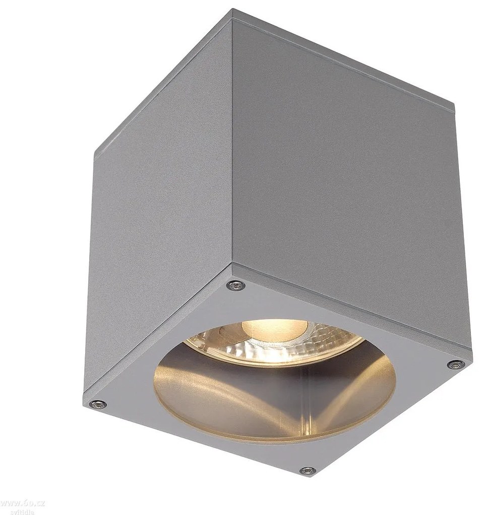 SLV Big White 229554 Theo Ceiling, stropní venkovní svítidlo, 1x75W GU10 ES111, stříbrnošedá, výška 15cm, IP44