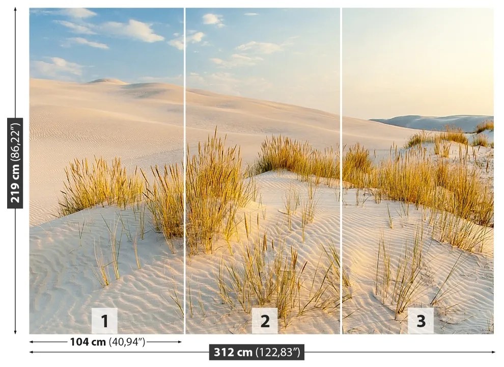 Fototapeta Bunesk Dunes 104x70