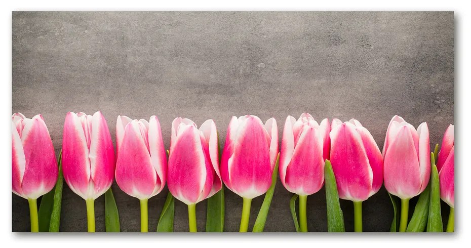 Wallmuralia Foto obraz akrylový na stěnu Růžové tulipány 140x70 cm