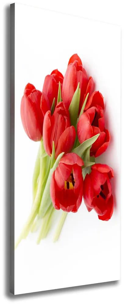 Wallmuralia Foto obraz na plátně Červené tulipány 50x125 cm