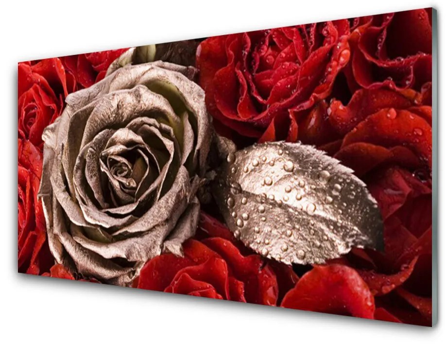 akrylový obraz Růže Květiny 100x50 cm