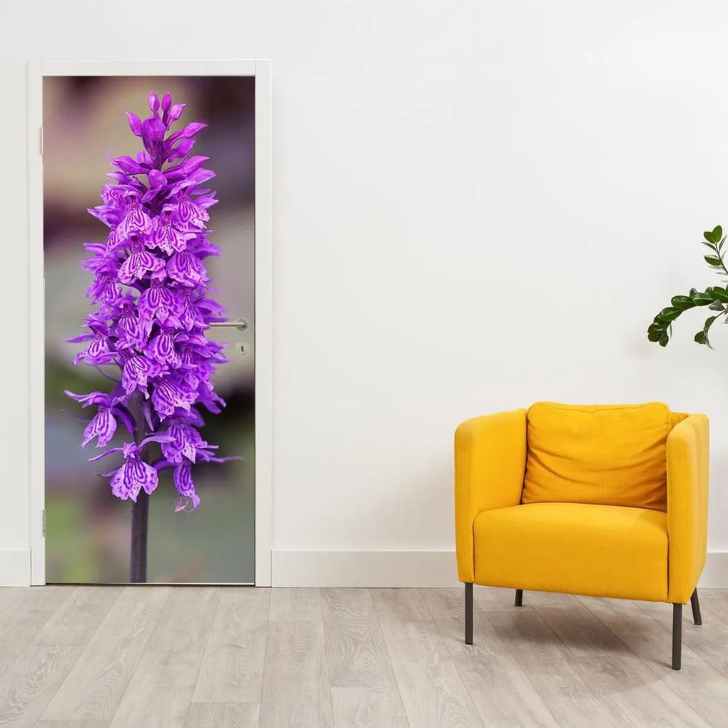 Fototapeta na dveře - Orchidej (95x205cm)