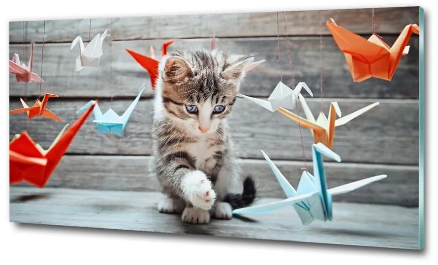 Wallmuralia Fotoobraz na skle Kočka ptáci z papíru 100x50