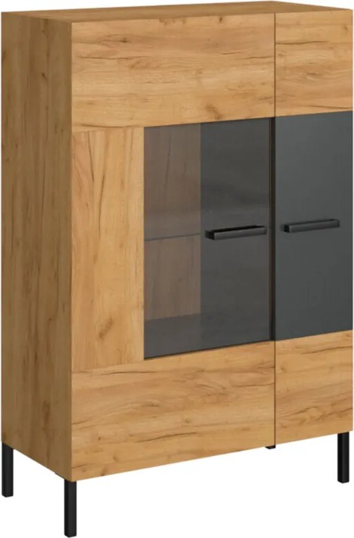 Vitrína nízká 1d1w dub craft zlatý / antracit Santes