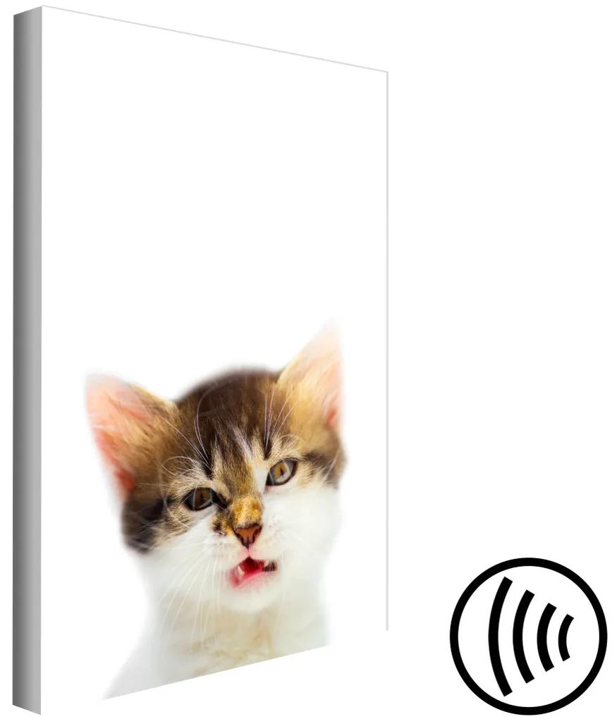 Obraz Kočičí styl (1-dílný) - Domácí zvíře s nádechem divočiny v objektivu