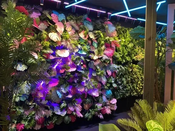 Vertical garden Mamba