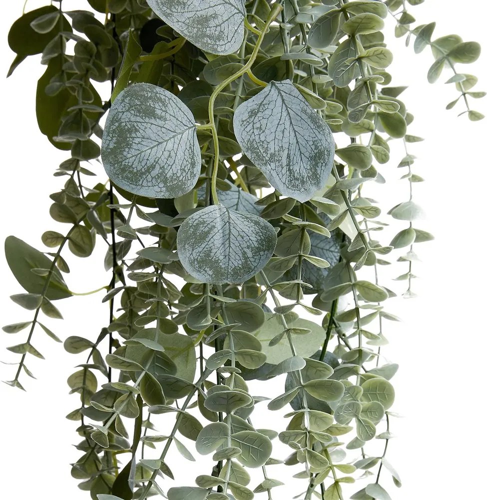 FLORISTA Eukalyptus převislý mix 65 cm