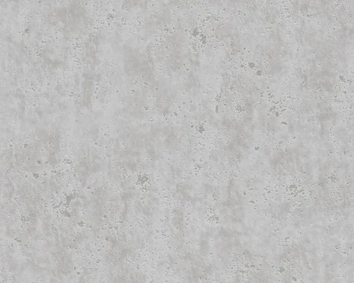 A.S. Création 36600-4 tapety na zeď DIMEX 2020 | 0,53 x 10,05 m | šedá vliesová tapeta na stěnu 366004