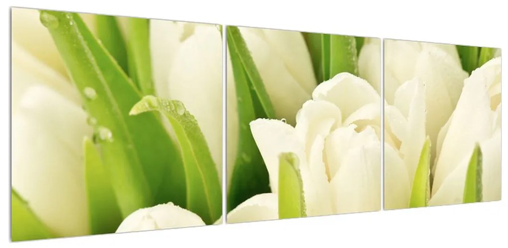 Obraz květů tulipánů (150x50 cm)