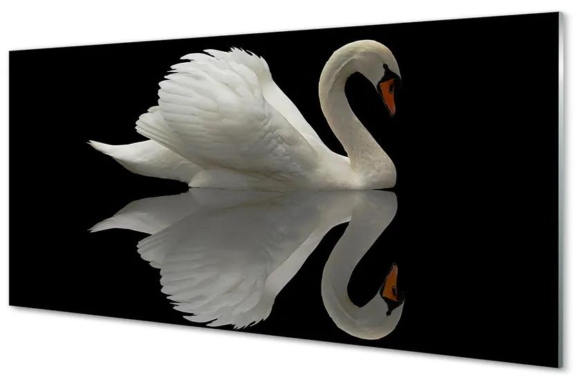 akrylový obraz Swan v noci 140x70 cm