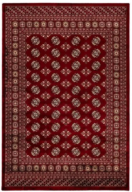Kusový koberec Ariana 880 red 240 x 340 cm