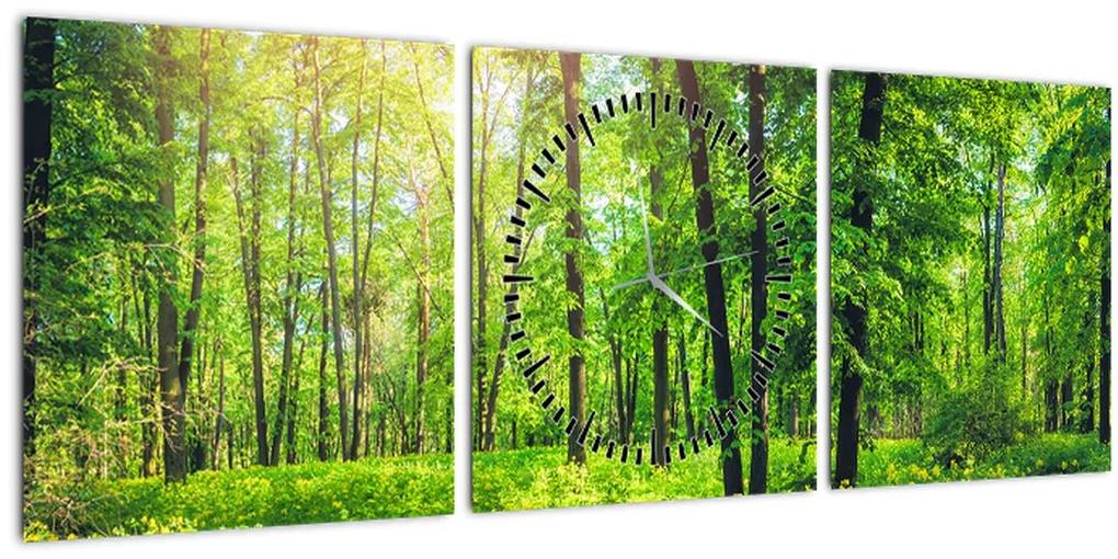 Obraz - Jarní listnatý les (s hodinami) (90x30 cm)