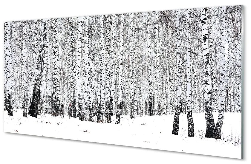 Obraz na skle Zimní břízy 120x60 cm