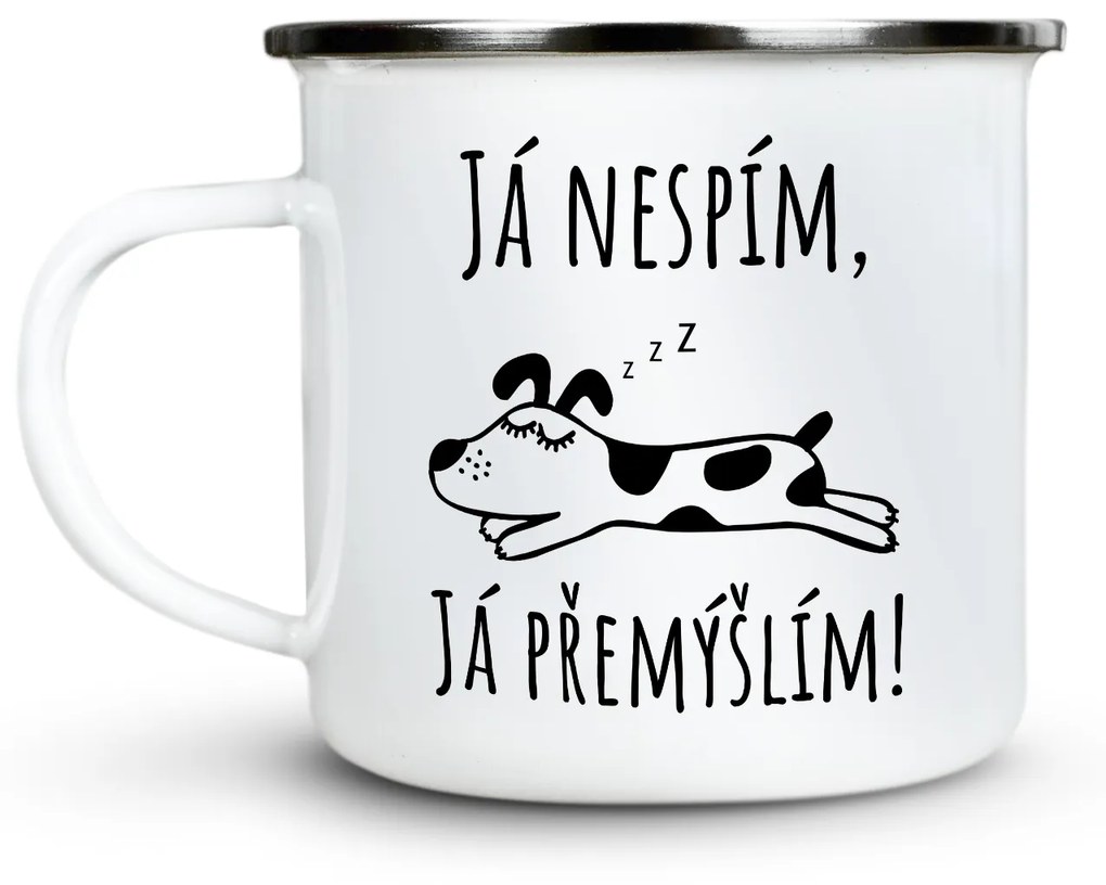 Ahome Plecháček Já nespím, já přemýšlím 300 ml