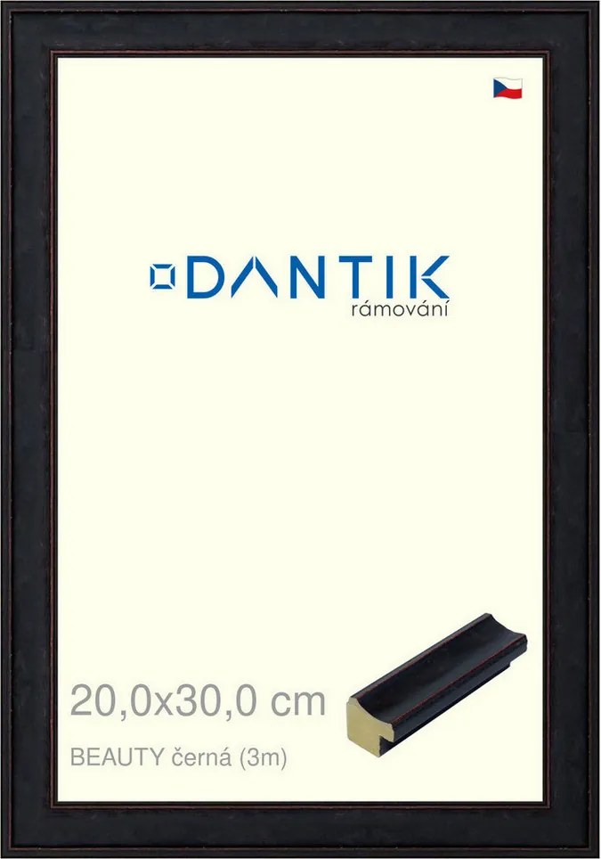 DANTIK rámeček 20x30 | BEAUTY černá (Sklo Čiré)