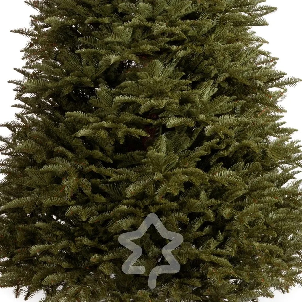 Jedle Kavkazská 100 % 220 cm