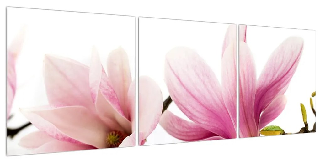 Obraz květu (120x40 cm)