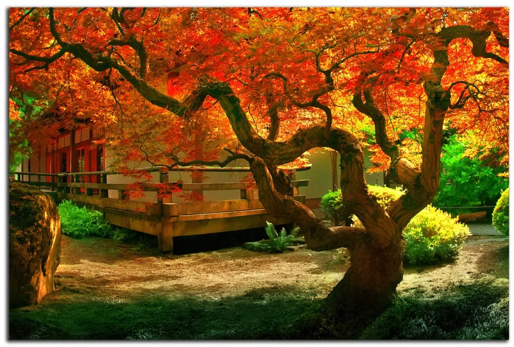 Obraz Japonská zahrada , vícedílný