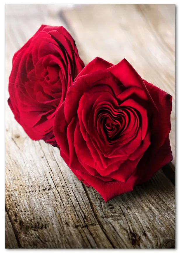 Wallmuralia Foto obraz akrylový do obýváku Červené růže 70x100 cm