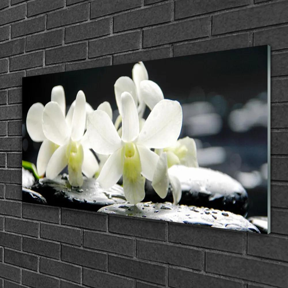 Obraz na skle Kameny Květiny Orchidej 140x70 cm
