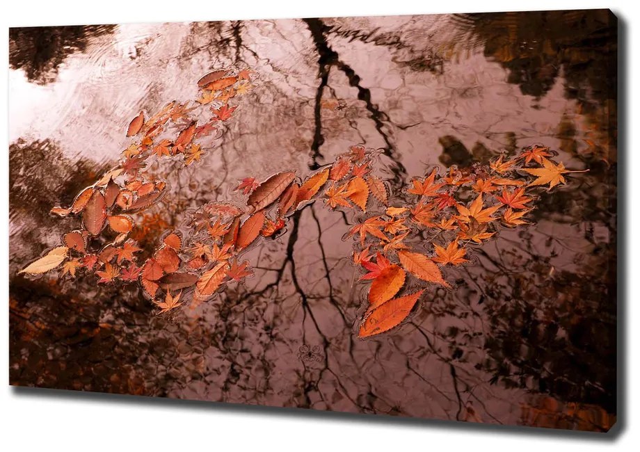 Wallmuralia Moderní fotoobraz canvas na rámu Listí na vodě 100x70 cm