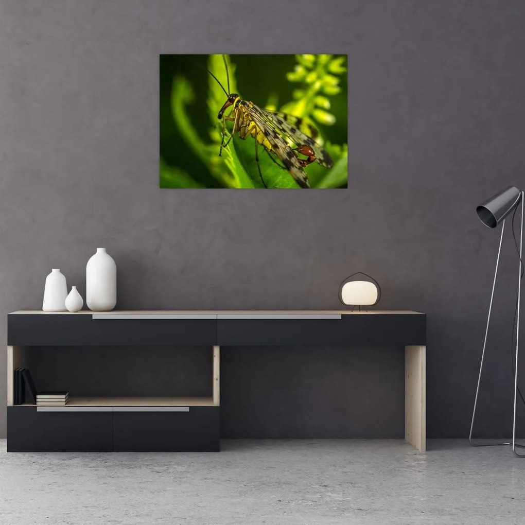 Skleněný obraz hmyzu (70x50 cm)