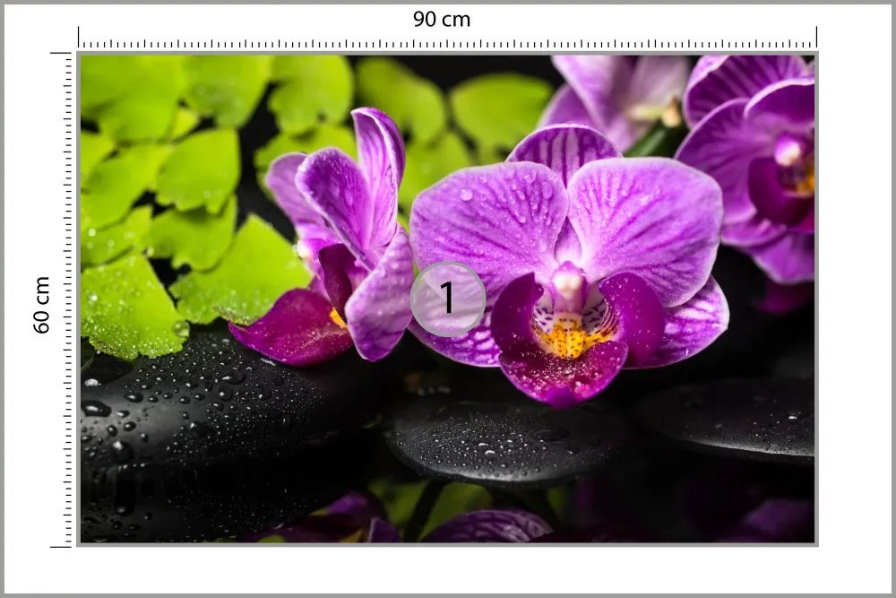 Fototapeta Orchidové Lázně Omyvatelný vlies 90x60