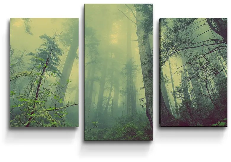 Obraz - 3-dílný SABLIO - Temný les 75x50 cm
