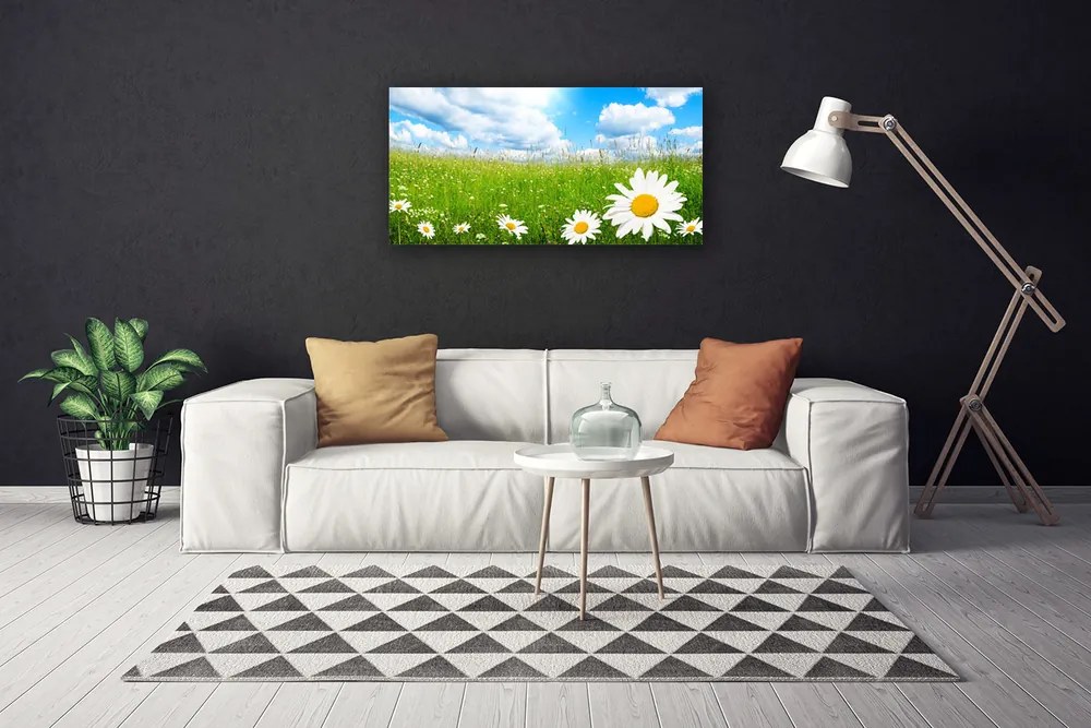 Obraz na plátně Sedmikráska Tráva Příroda 120x60 cm