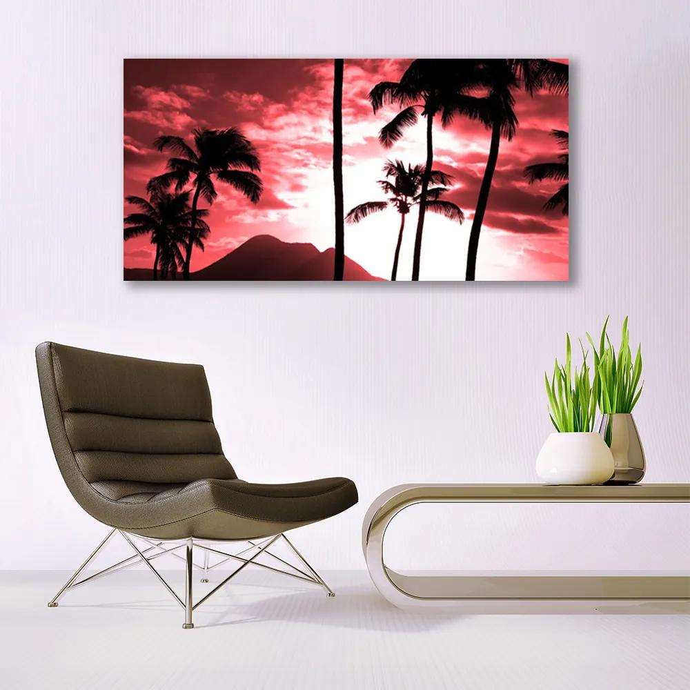 akrylový obraz Hora Palmy Stromy Příroda 120x60 cm