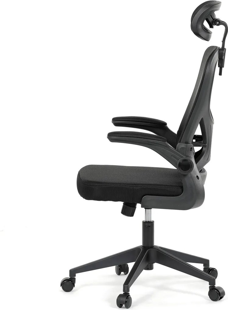 Ergonomická kancelářská židle ALEXANDRE - černá síťovina